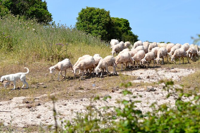 Alghero: Jeep tour to discover nature and breathtaking landscapes - Starting Point and Logistics