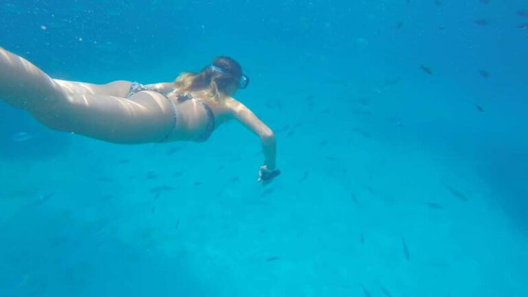 Alghero: Trekking and Snorkelling Tour in Porto Conte Park - Practical Details and What to Expect
