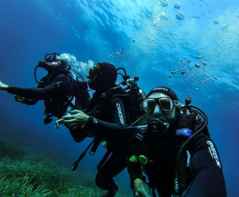 Alghero: Try dive. Scuba diving for beginners. - Detailed Breakdown of the Itinerary