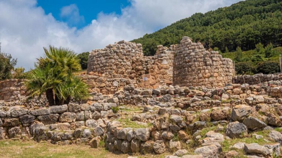 Alghero: Visit to the Nuraghe Palmavera and Porto Conte Park - Authentic Experiences and Feedback