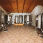 Alghero: wine tasting w/ local aperitif in the vineyard - The Itinerary: What You Can Expect
