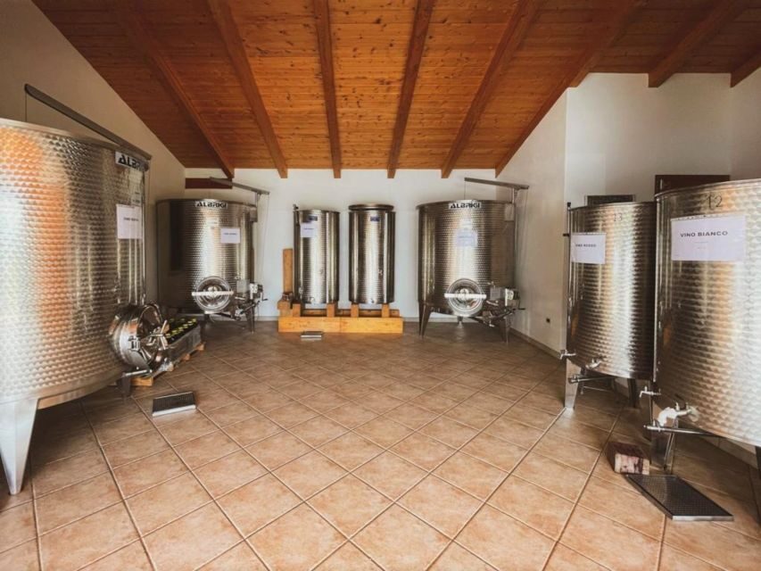 Alghero: wine tasting w/ local aperitif in the vineyard - The Itinerary: What You Can Expect
