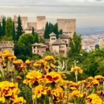 Alhambra: Guided Tour with Fast-Track Entry - Why This Tour Offers Great Value for Your Money