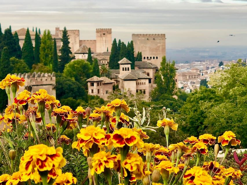 Alhambra: Guided Tour with Fast-Track Entry - Why This Tour Offers Great Value for Your Money