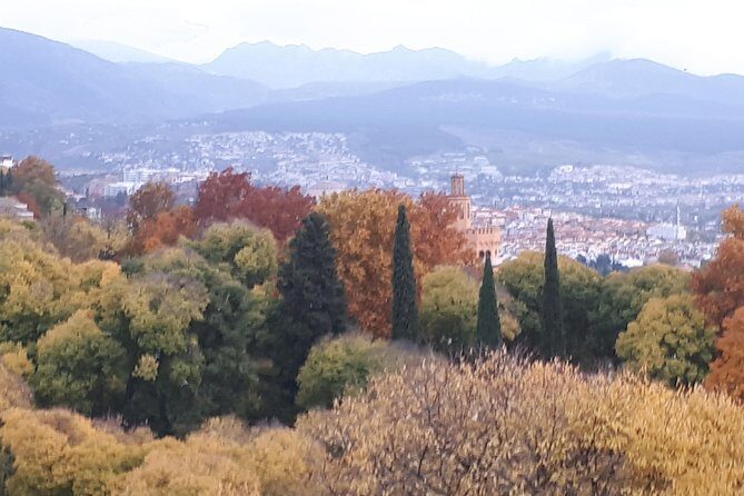 Alhambra Sultan Gardens ,Palaces and towers .Skip the line - Who Will Love This Tour?