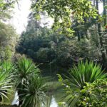 Aliança Underground Museum and Mata do Bussaco - Coimbra - Final Thoughts: Is This Tour For You?