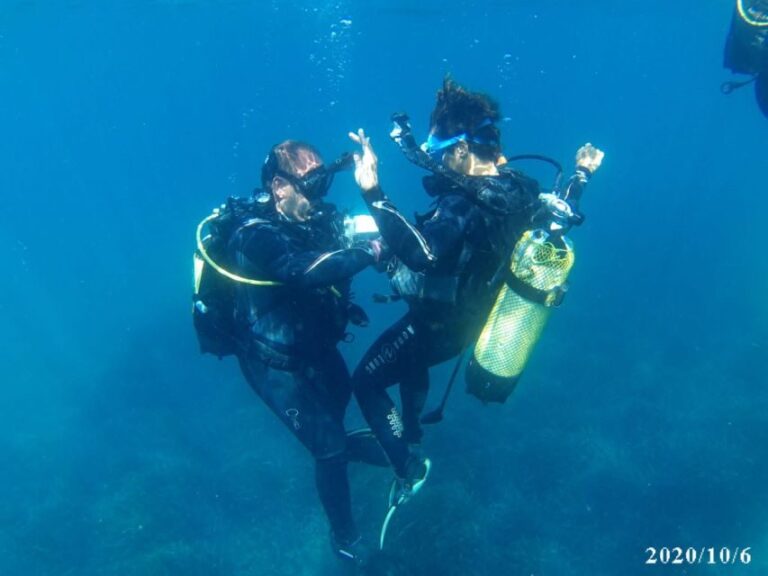 Alicante: Denia Beginners Scuba Diving Experience - A Closer Look at the Itinerary