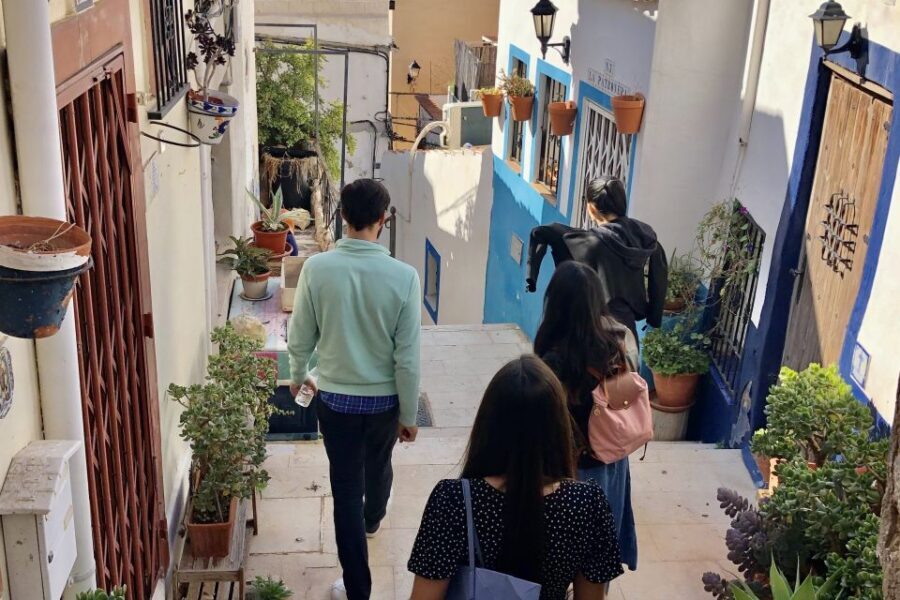 Alicante: Seven Secrets of Alicante Discovery Tour - Central Market: A Food Lover’s Paradise