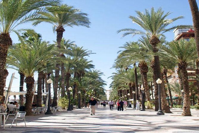 Alicante Shore Excursion: Private Walking Tour - Who Should Consider This Tour?