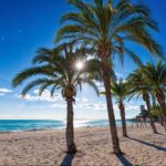 Alicante: Spot the Mediterranean by E-bike - The Benefits of the E-bike Format