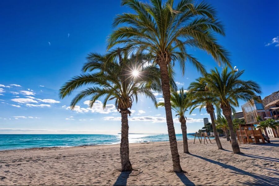 Alicante: Spot the Mediterranean by E-bike - The Benefits of the E-bike Format