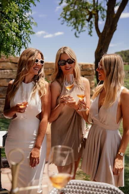 Alicante: Sustainable Wine & Tapas Experience at 3 Wineries - The Itinerary in Detail