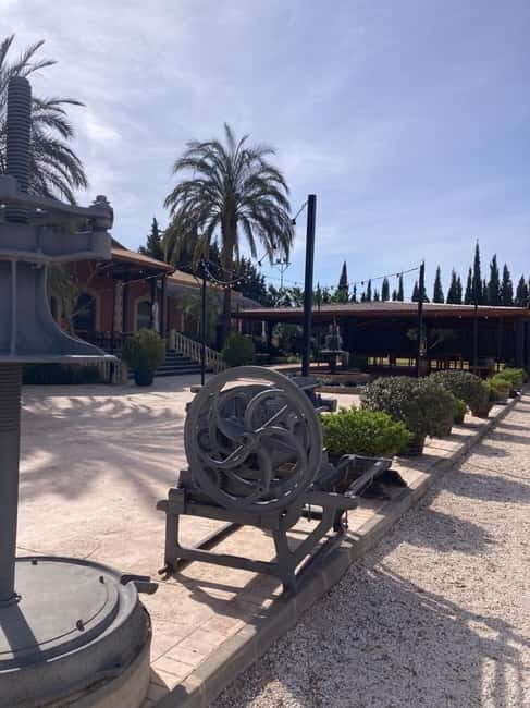 Alicante: Wine tasting tour with transfer - What We Love About This Tour