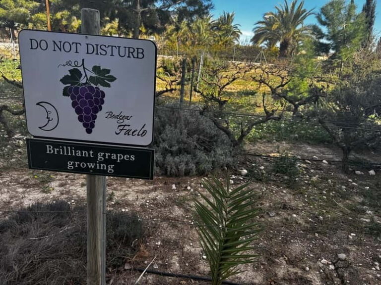 Alicante; Wine Tour Wineries, Food, and Transportation Included - The Itinerary: From Vineyard to Glass