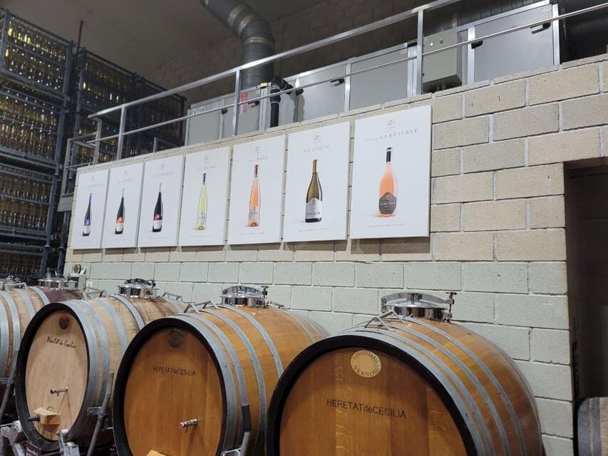 Alicante:Beatiful Castle of Mola+tasting of local wine - Logistics and Value