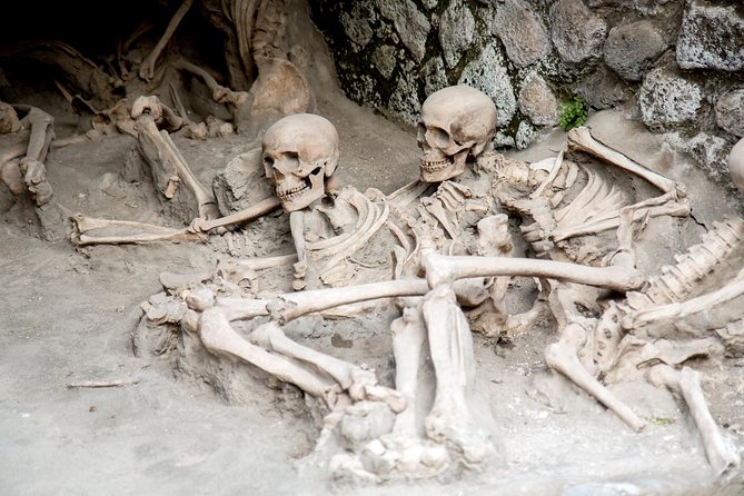 All inclusive Herculaneum Skip the Line Tour From Sorrento - Who This Tour Is Best For