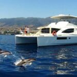 All Inclusive Whale and Dolphin Watching Luxury Tour - The Highlights: What You’ll Love About This Tour