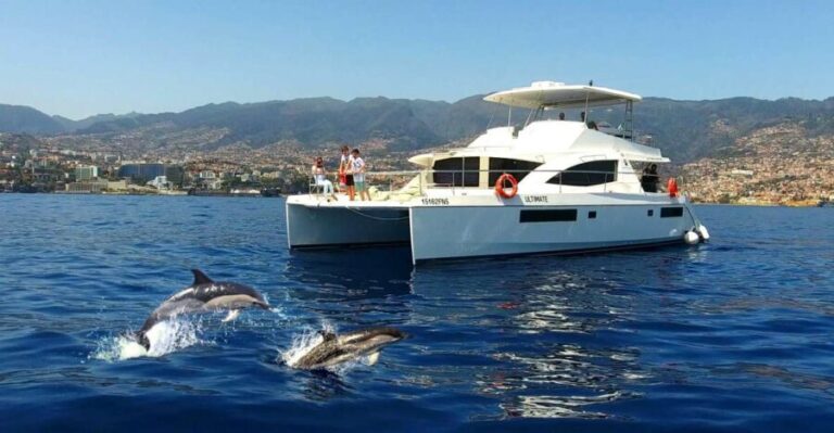All Inclusive Whale and Dolphin Watching Luxury Tour - The Highlights: What You’ll Love About This Tour