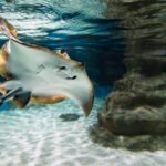 Almería: Aquarium Costa de Almería Entry Ticket - Who Should Consider This Experience?