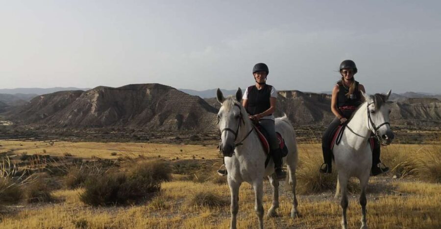 Almeria: Horse Riding Tour Through the Tabernas Desert - What Makes This Tour Stand Out?