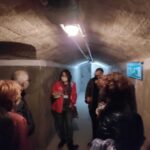 Almeria: Spanish Civil War Shelters Ticket and Official Tour - What to Expect at Each Stop