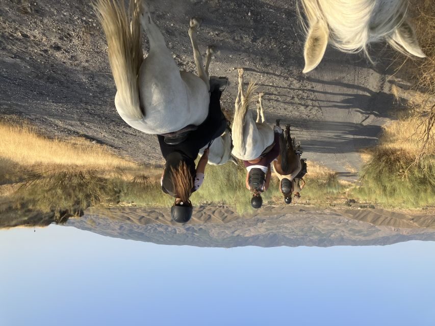 Almeria: Tabernas Desert Horse Riding for experienced riders - Exploring the Desolate Beauty of the Tabernas Desert
