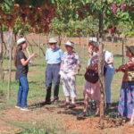 Almería: Wine tour and aperitif from La Alpujarra in Winery - Who Will Love This Tour?