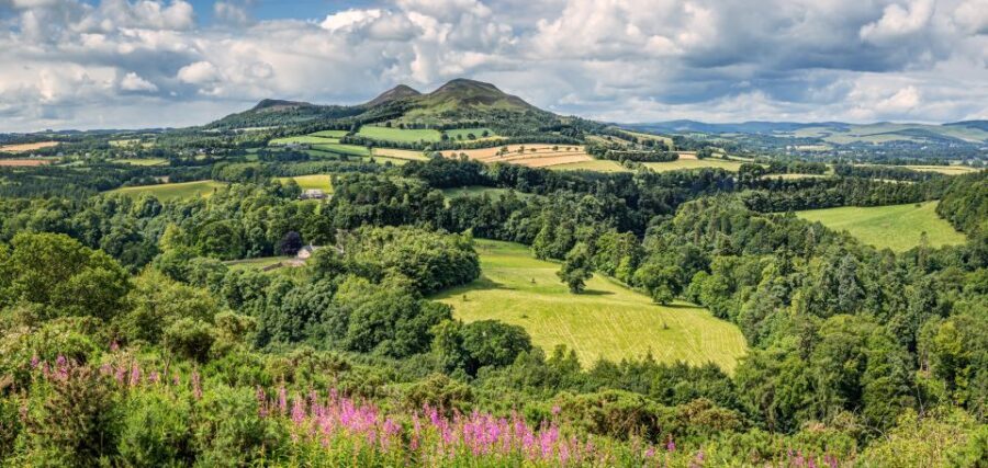 Alnwick Castle, Northumberland & Scottish Borders 1-Day Tour - What You’ll Experience at Each Stop
