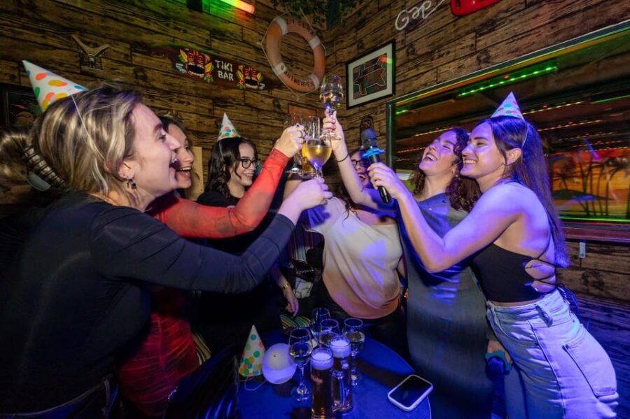 Aloha Amsterdam: Private Karaoke Booth with 20.000 Songs - The Details of the Karaoke Experience