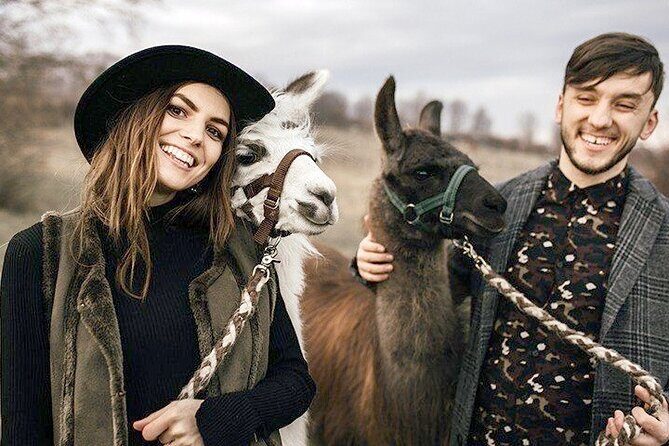 Alpaca and llama hike Moedling near Vienna - Who Should Consider This Tour?