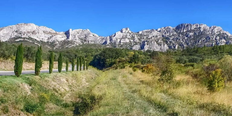 Alpilles: Discover wine estates and farms by electric bike - A Closer Look at the Itinerary