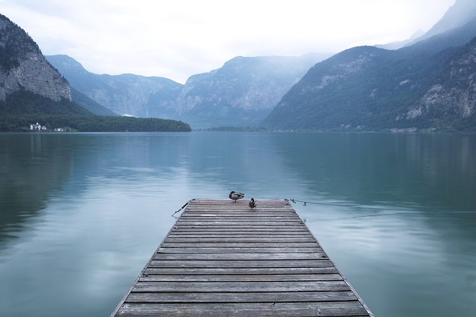 Alpine Panoramic Private Tour to Salzburg and Hallstatt incl. Admont from Vienna - Key Points