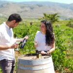 Alpujarra of Almería: Organic Wine tour and local aperitif - Who Will Enjoy This Tour?
