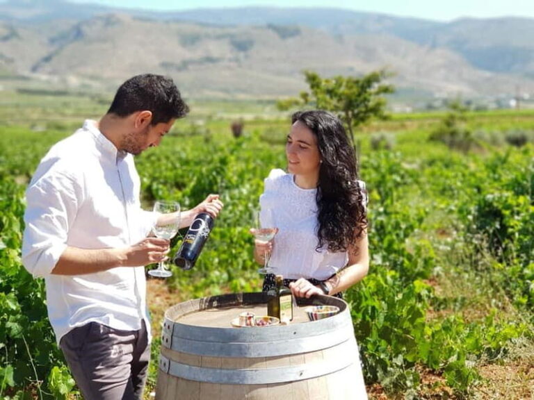 Alpujarra of Almería: Organic Wine tour and local aperitif - Who Will Enjoy This Tour?