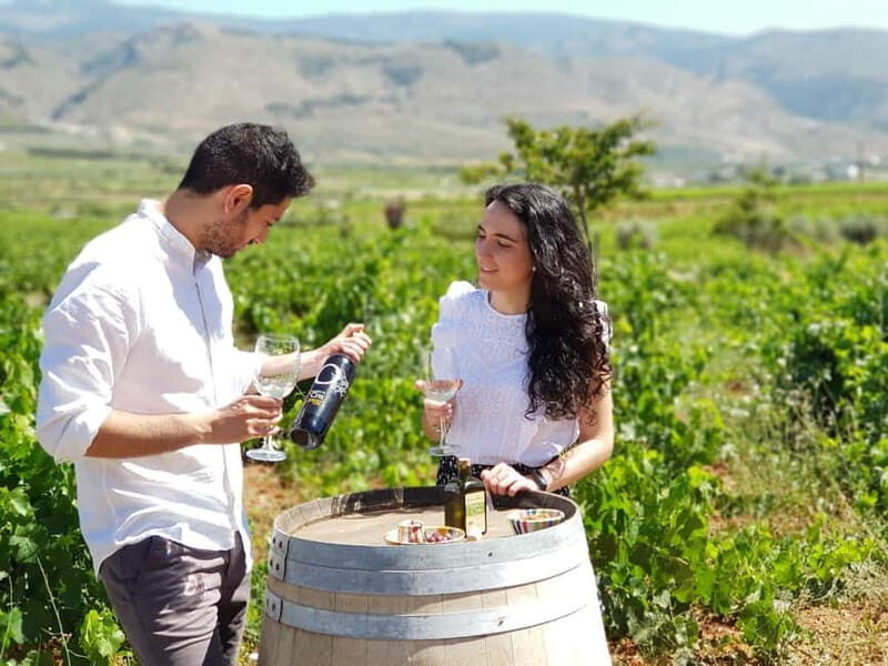 Alpujarra of Almería: Organic Wine tour and local aperitif - Who Will Enjoy This Tour?