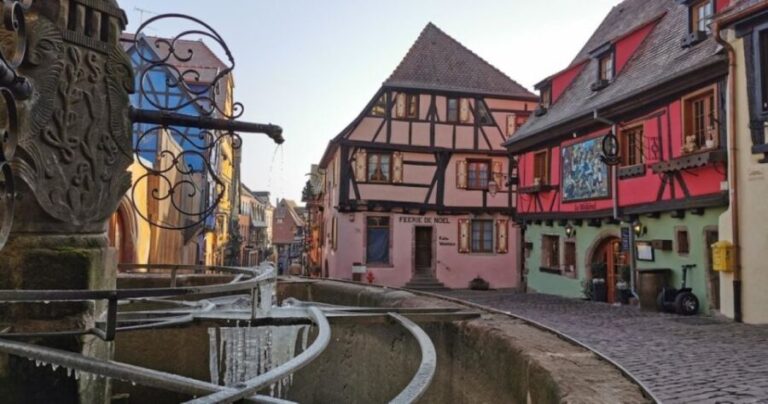 Alsace: Half-Day Wine Tour from Colmar - What Do You Gain from This Tour?