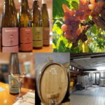 Alsace wine tour & medieval villages small group guided tour - What makes this tour stand out?