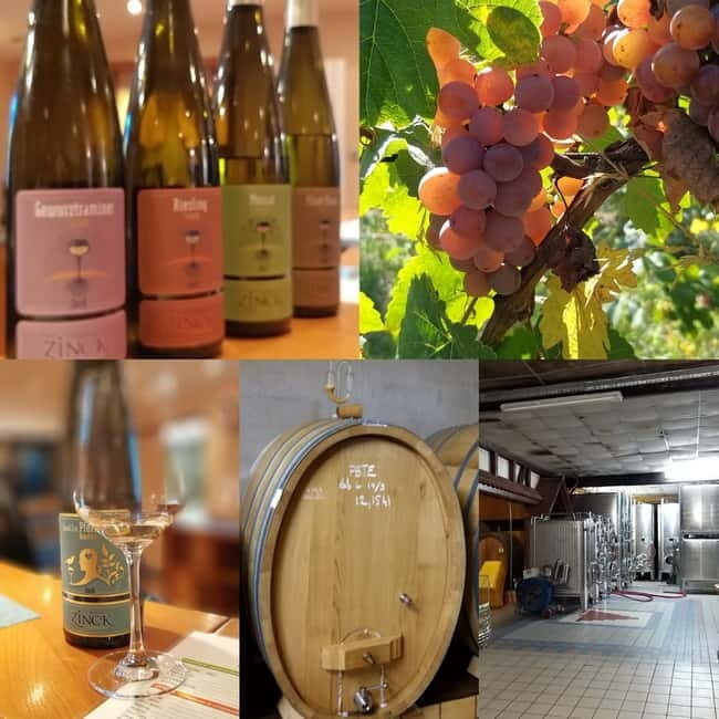Alsace wine tour & medieval villages small group guided tour - What makes this tour stand out?