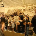 Altamura: Wine Museum Guided Tour with Tasting - Who Will Love This Tour?