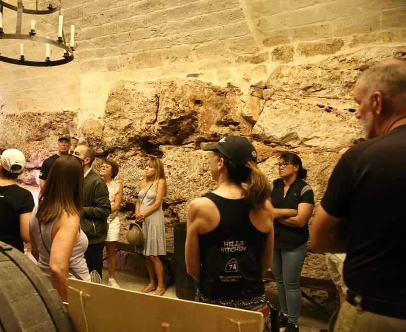 Altamura: Wine Museum Guided Tour with Tasting - Who Will Love This Tour?