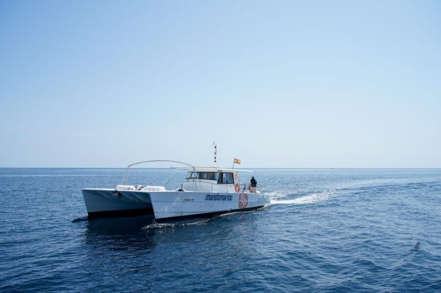 Altea: Beaches and Coves Boat Trip with Lunch - The Value of This Experience