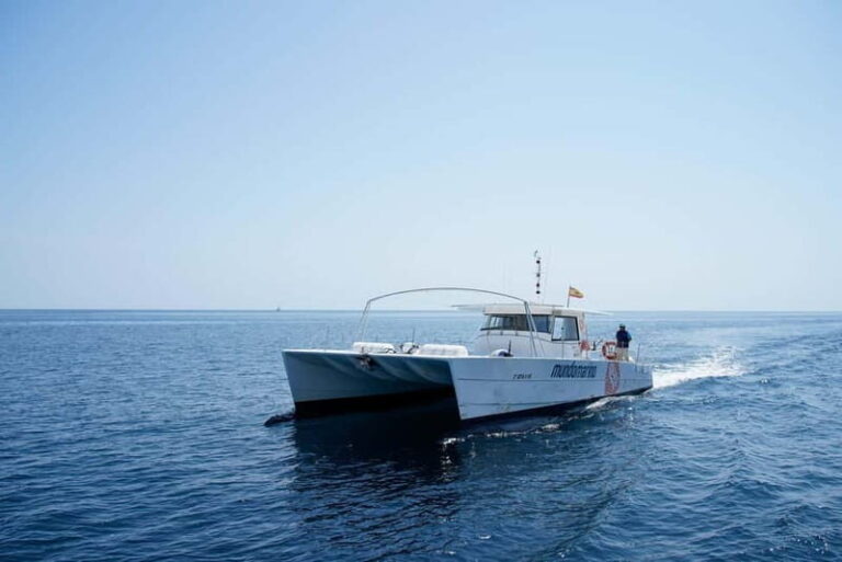 Altea: Motor Catamaran Excursion with swimming stop - Frequently Asked Questions (FAQs)