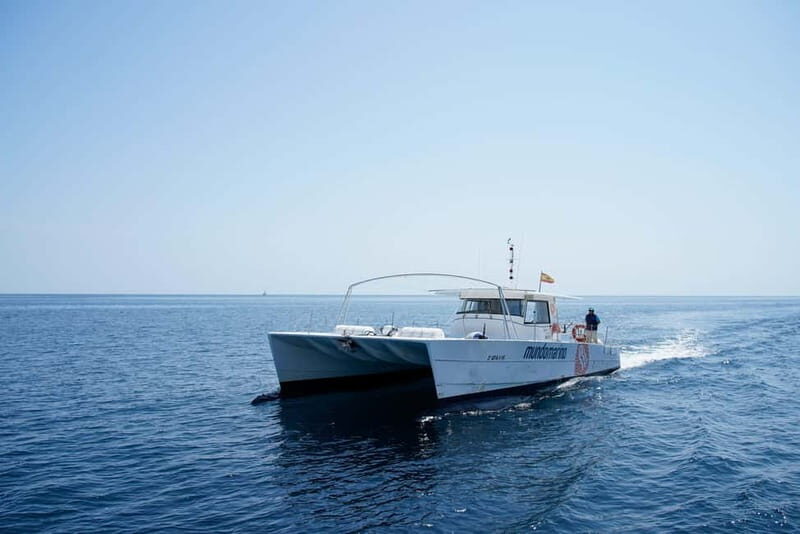 Altea: Motor Catamaran Excursion with swimming stop - Frequently Asked Questions (FAQs)