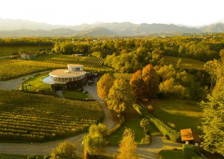 Alto Piemonte: Classic Wine Tasting - A Deep Dive into the Experience