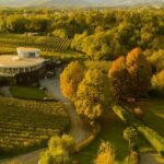 Alto Piemonte: Private Wine Tasting - Practical Details