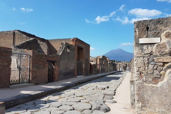 Amalfi Coast Sorrento and Pompeii Group Tour from Naples - Introduction