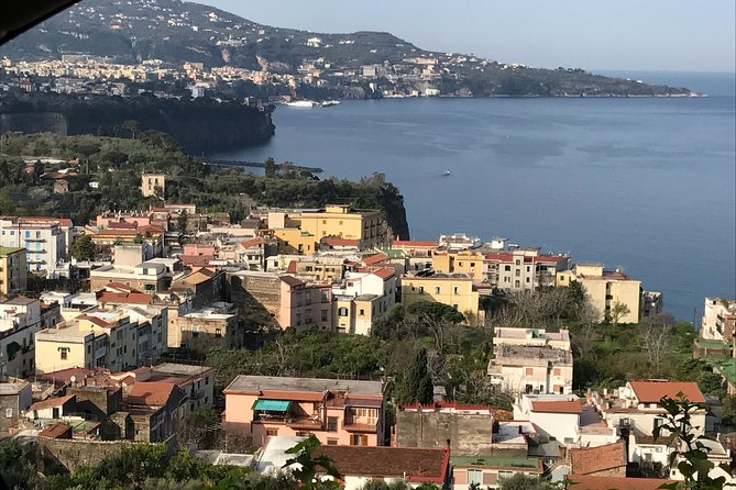 Amalfi Coast Tour Full Day 8 Hours from Naples or Sorrento - Key Points