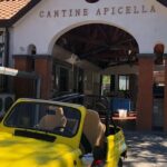 Amalfi Coast vintage tour with cheese and wine tastings - Practical Details You Should Know