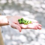 Amalfi Coast vintage tour with olive oil tasting in Ravello - Value and Practical Considerations