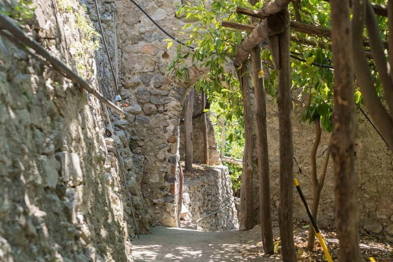 Amalfi Monumental Garden - Lemon Grove Guided Tour - What Makes the Amalfi Lemon Grove Tour Stand Out